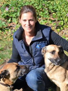 Osteopathie en acupunctuur voor honden en paarden - Dierenarts en Osteopaat